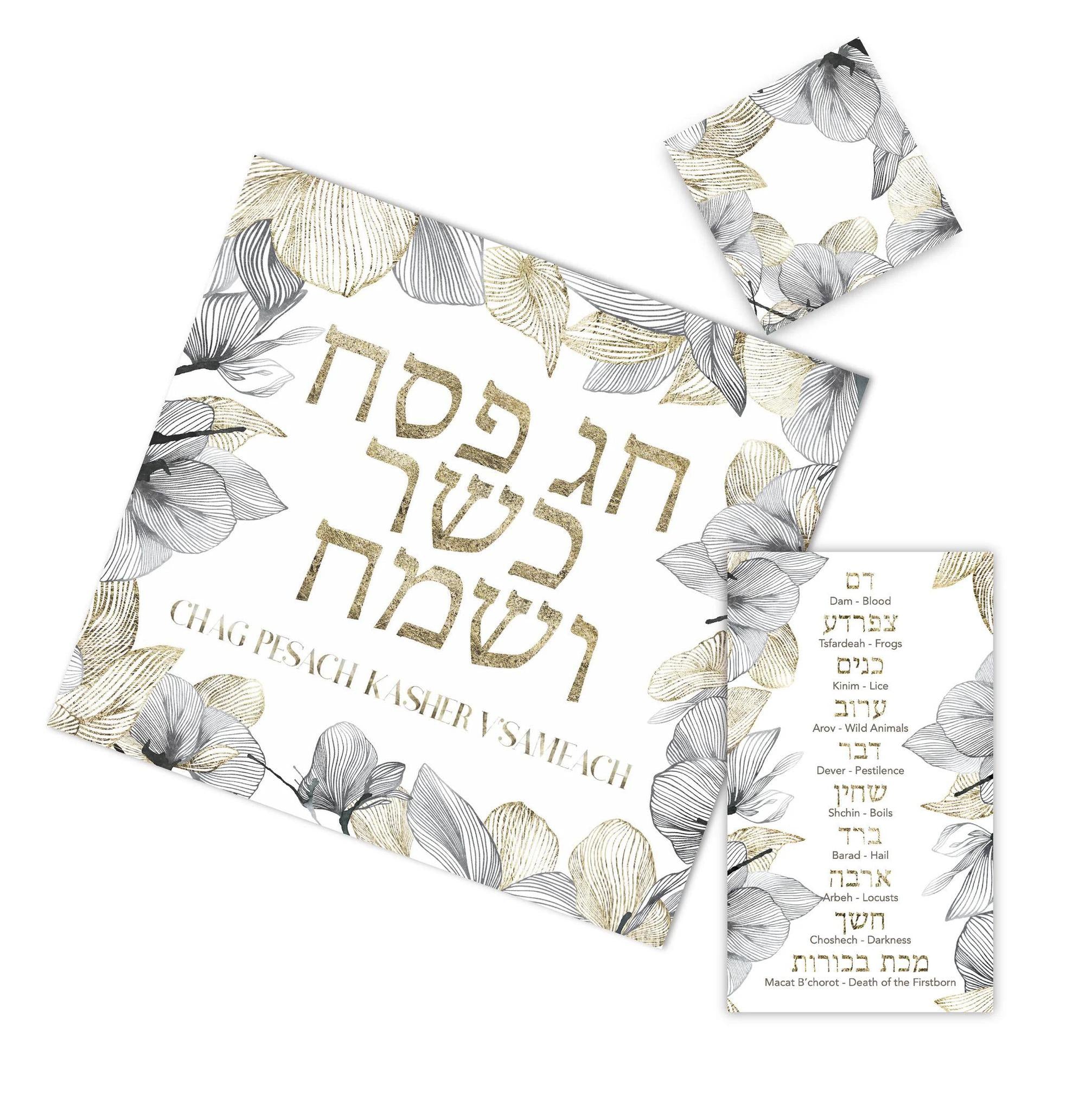 Passover Chag Sameach Paper Placemat With Coaster (12 Count) – Set With ...
